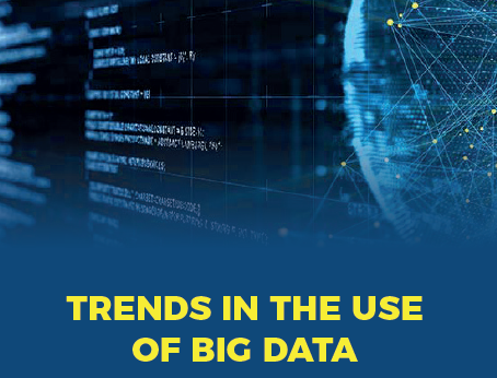 Trends in the Use of Big Data